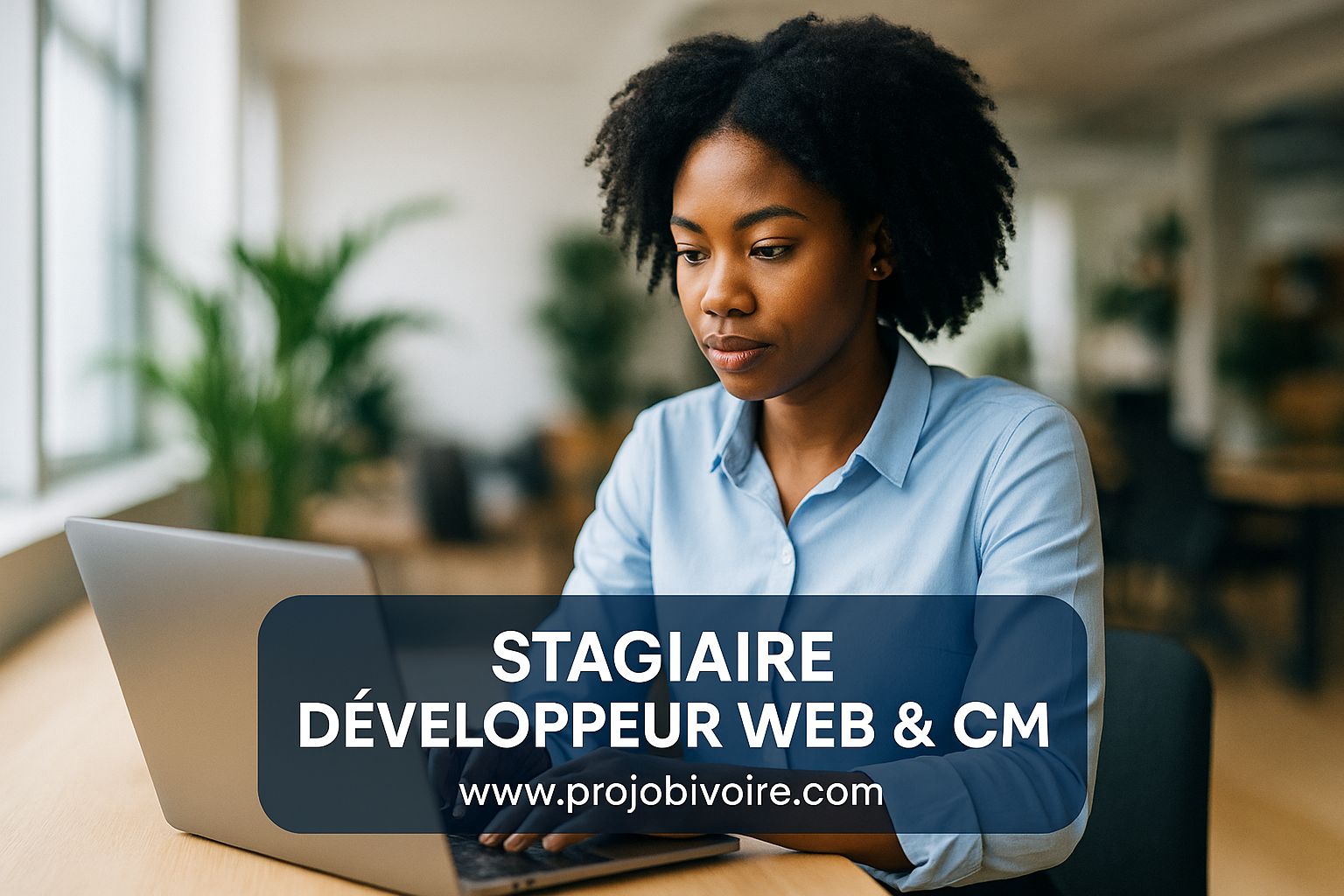 STAGE DÉVELOPPEUR WEB & COMMUNITY MANAGER | janvier 2026 | Projobivoire