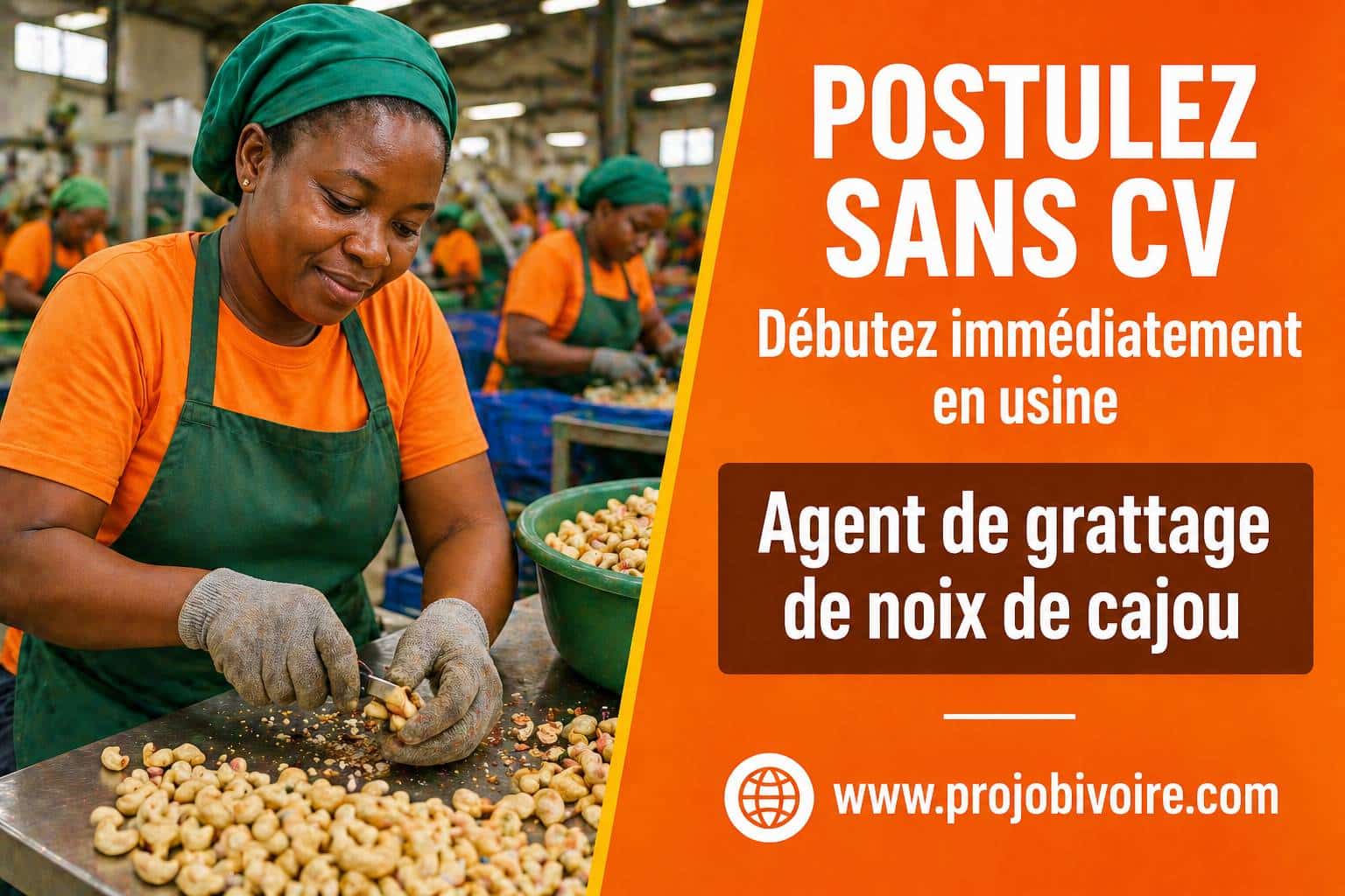 Usine recrute des Agents de grattage de noix de cajou | juin 2026 ...